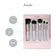 PUR Brushing Act 5-Piece Brush Set for foundation, powder